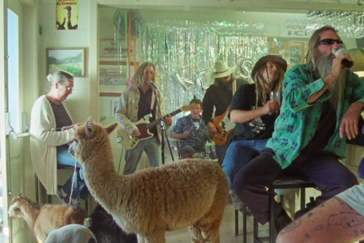 Skegss Play In A Country Pub Full Of Animals In The Video For New ...