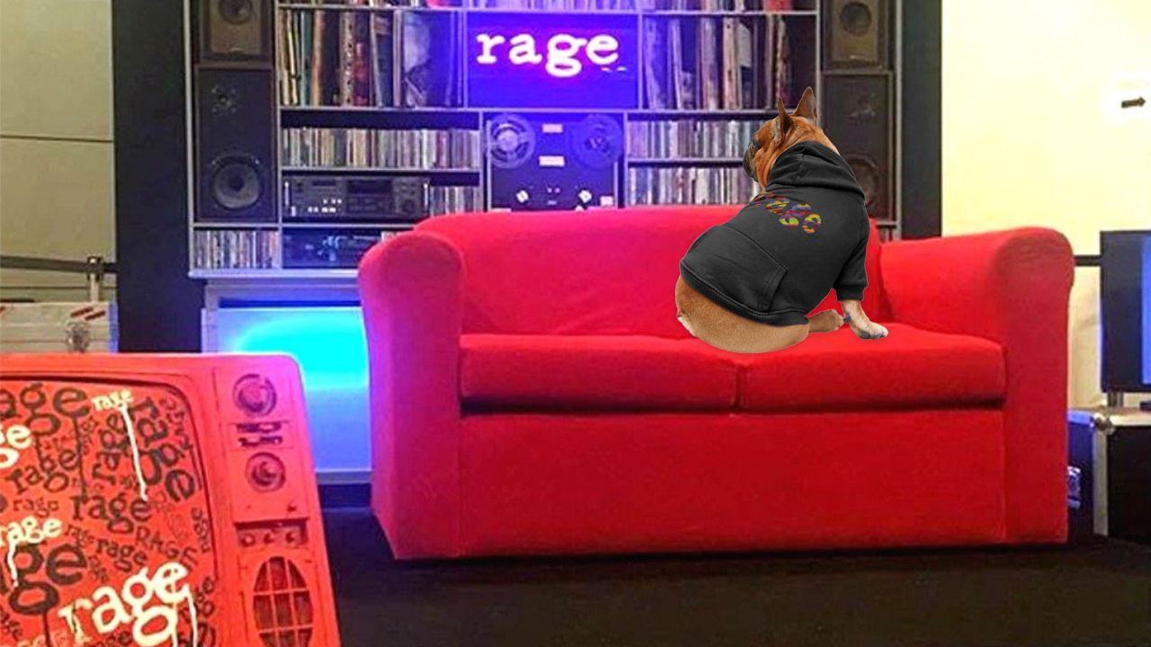 Get Your Paws On A Rage Hoodie For Your Dog - Music Feeds