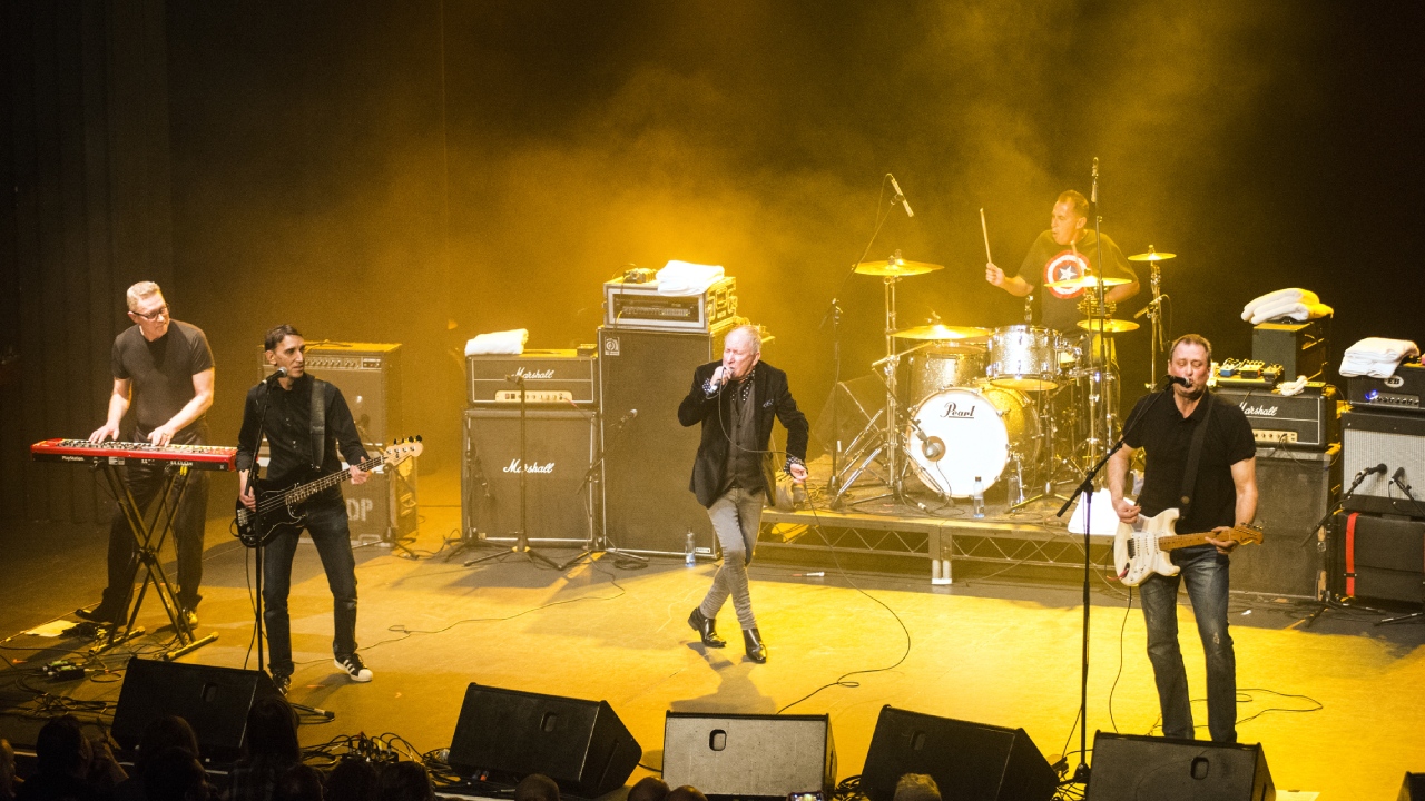 Died Pretty Cancel Upcoming Tour Due To Illness