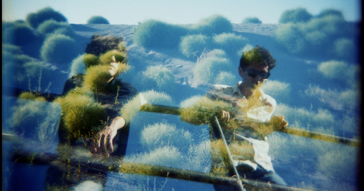 MGMT Announce New Album 'Loss Of Life', Share Single