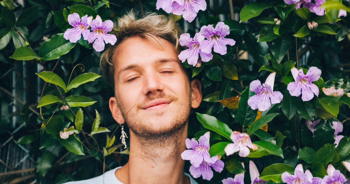 Basenji Announces Free 2016 Tour