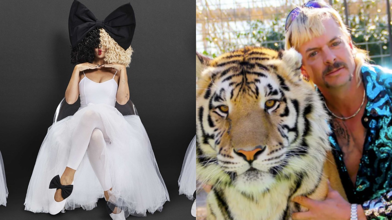 Alison Gold's Controversial 'Shush Up' Video Is "Art", Says Patrice ...