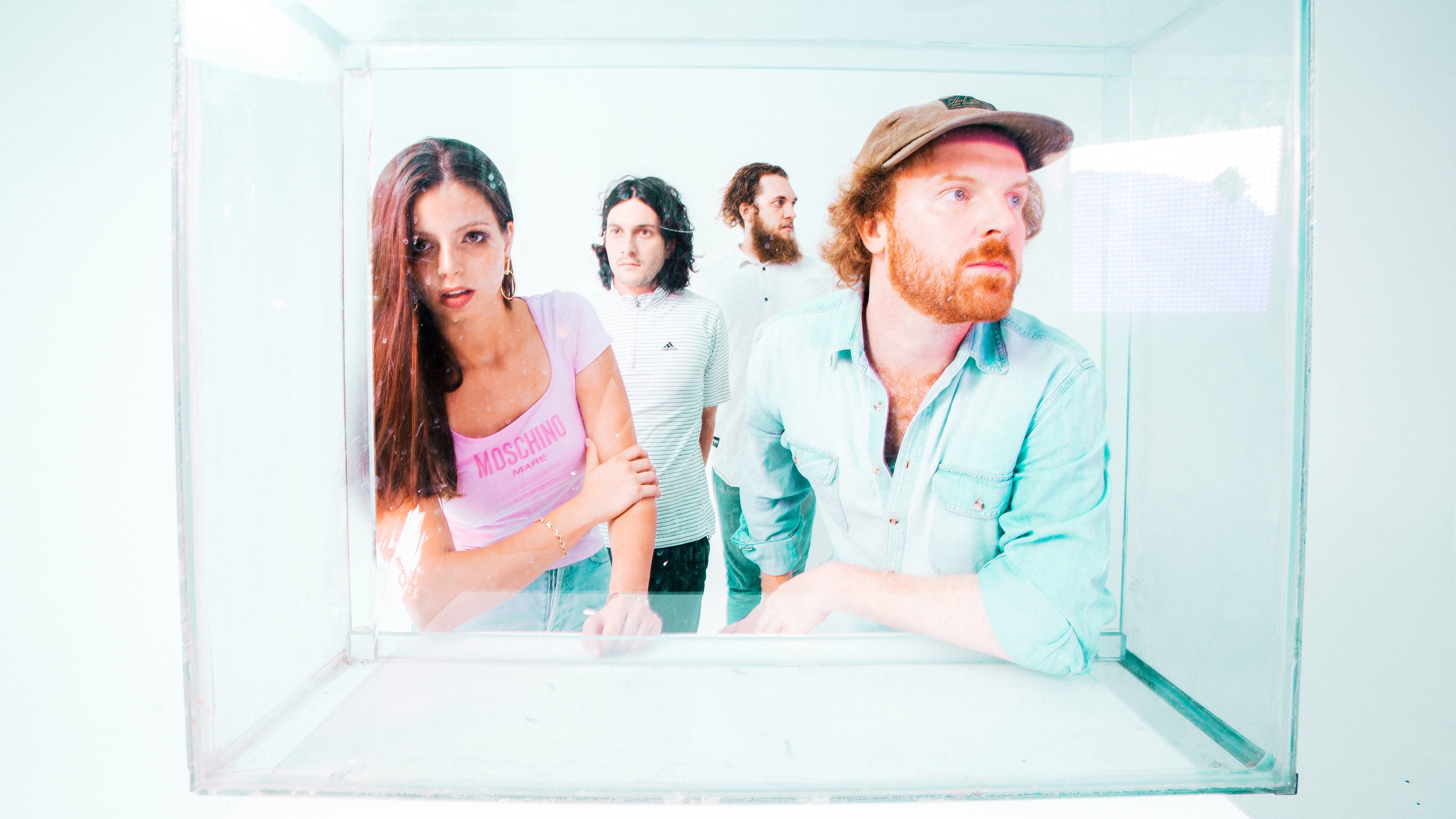 The Jungle Giants Are Back With A Groovin' New Single & Album ...