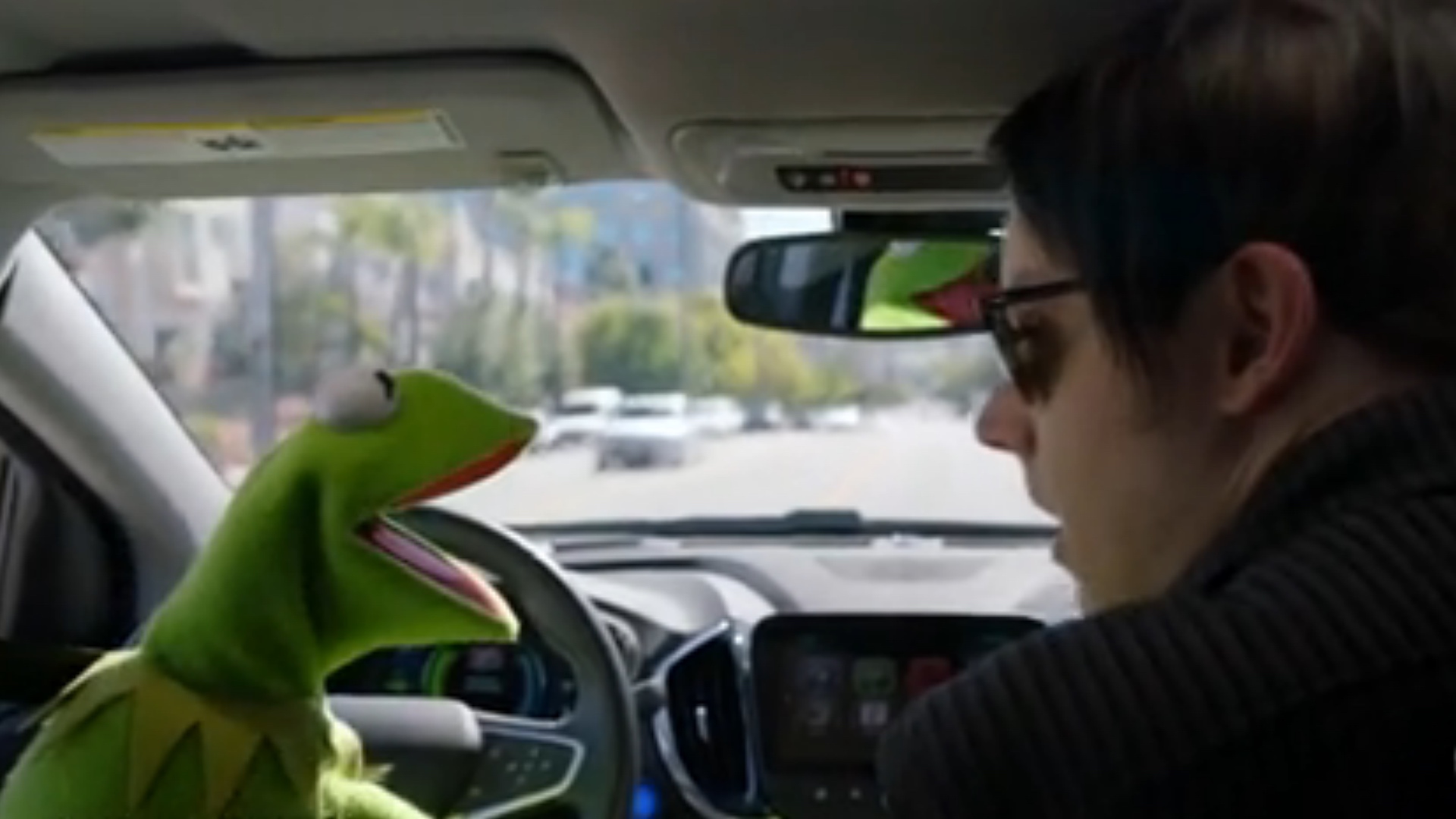 Watch Jack White & Kermit The Frog Sing The White Stripes' 'Fell In ...