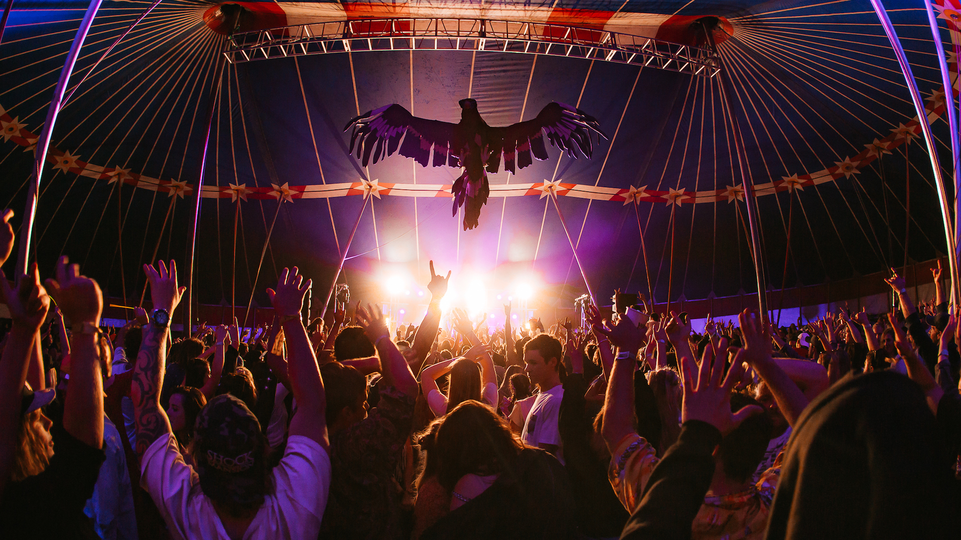 Party In The Paddock Drops First 2015 Lineup - Music Feeds